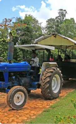 Activities in Jamaica | Yaaman Adventure Park