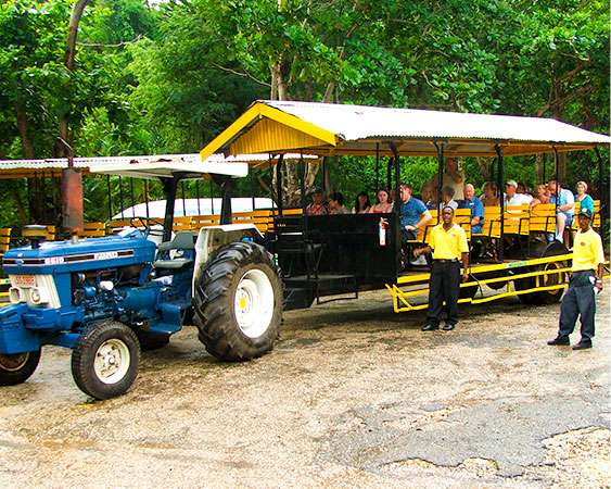 Plantation Ride Tour | Yaaman Adventure Park