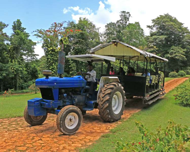 Rough Rider Package | Yaaman Adventure Park